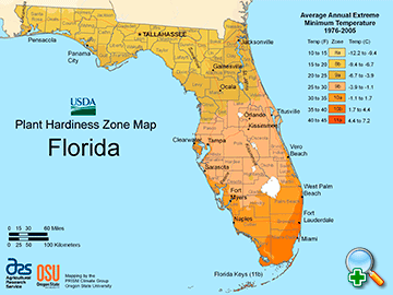 Plant site compatibility - Florida Water Star